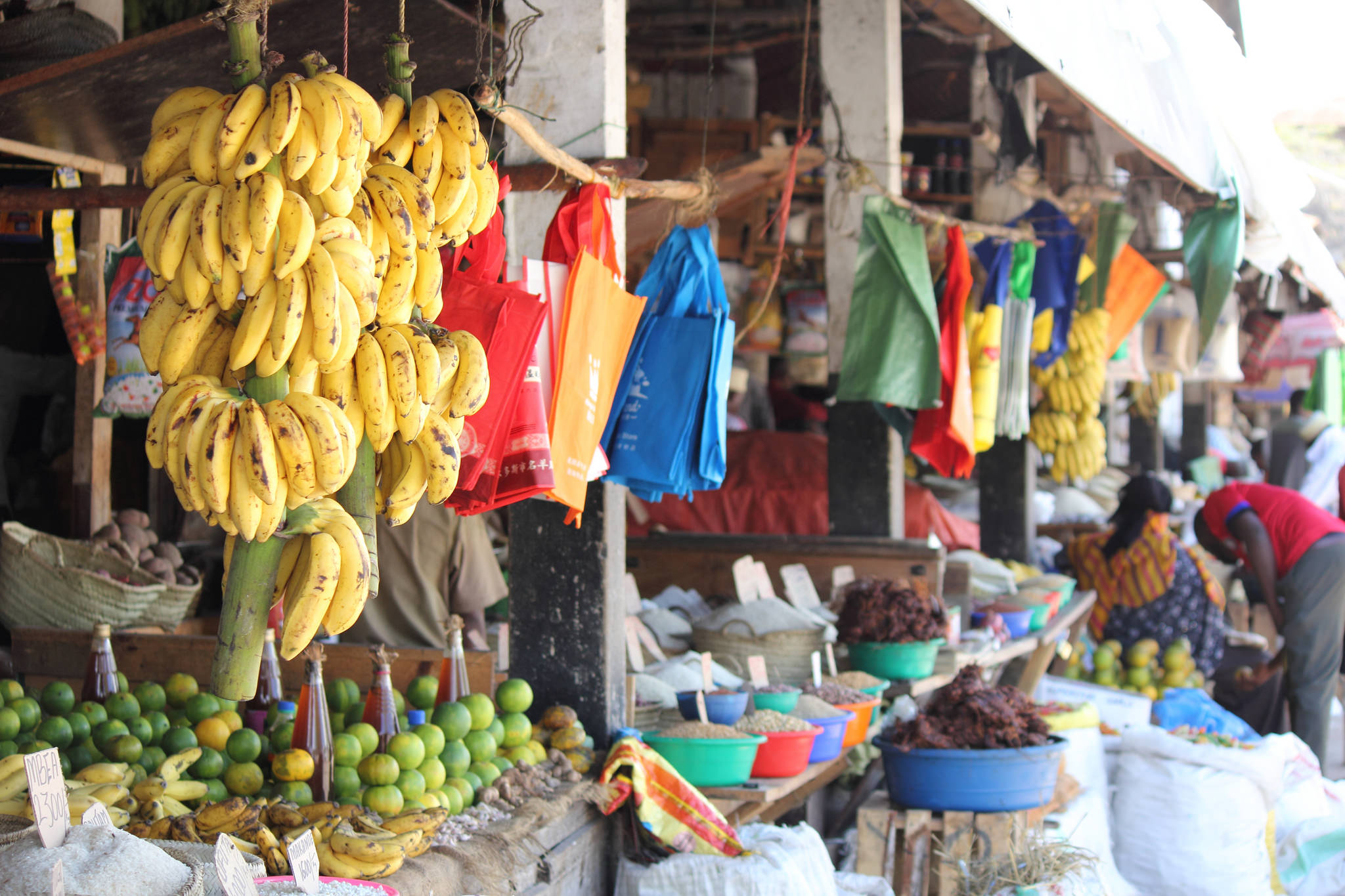 Zanzibar Holidays: Best Reasons to visit Zanzibar Island, Tanzania