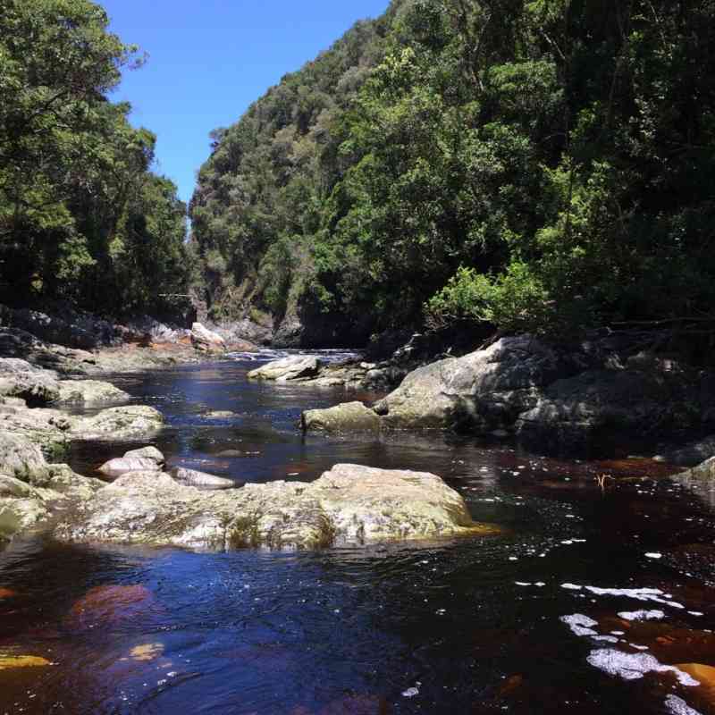 About The Otter Trail Garden Route Hike - South Africa