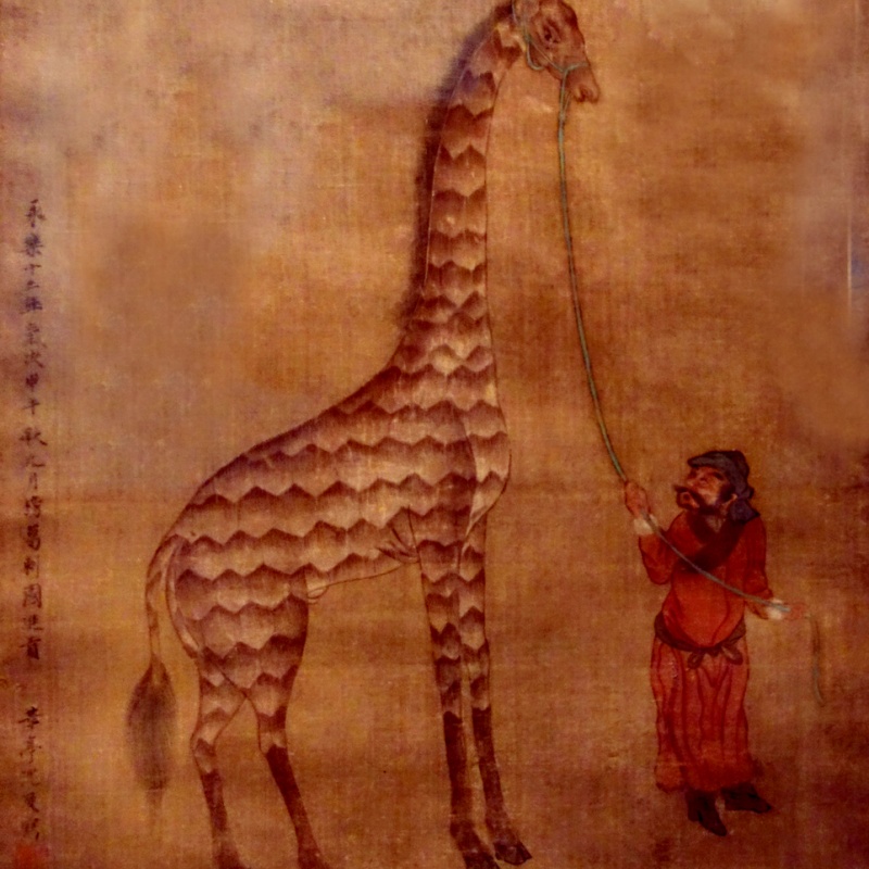 Interesting Facts About Giraffes | African Budget Safaris