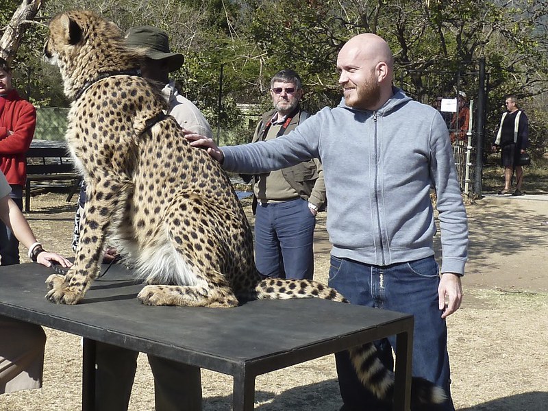 Visit Moholoholo Wildlife Rehabilitation Centre: Moholoholo Animal ...