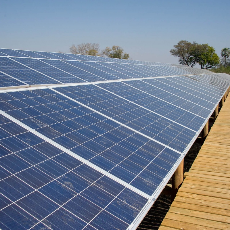 Spectacular Eco-Conscious Safari Spots | African Budget Safaris