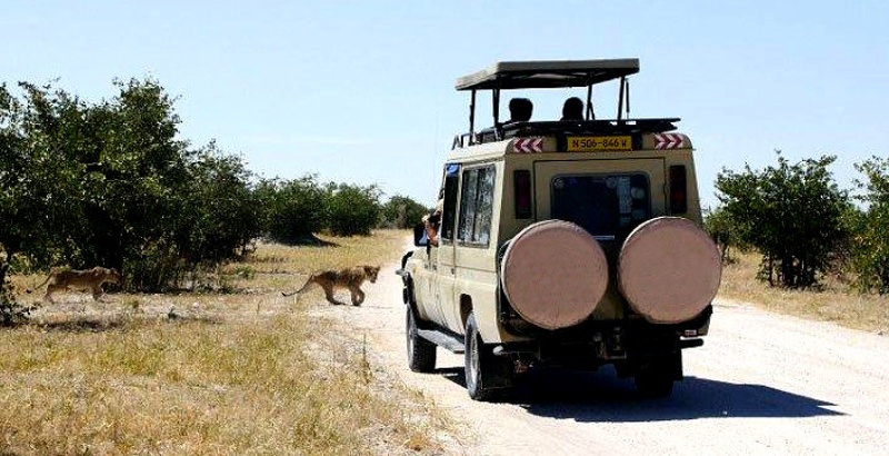 Q&A about Tailor-made safari packages - African Budget Safaris