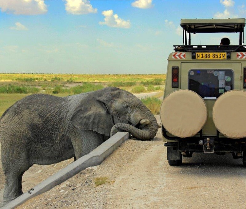 Q&A about Tailor-made safari packages - African Budget Safaris