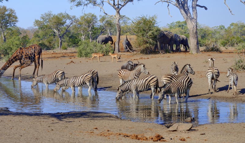 Best National Parks in Africa | Best African Safari Countries