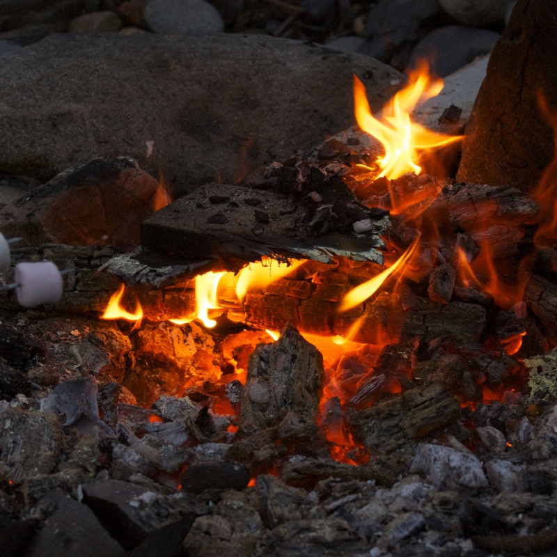 All Things Braai: South Africa's Favourite Thing | African Budget Safaris
