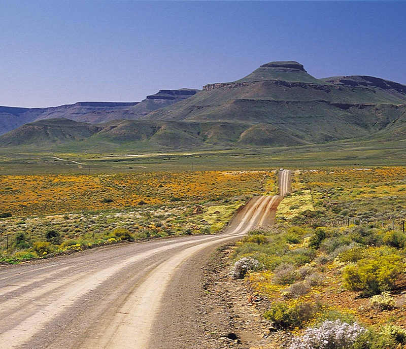 All Things Braai: South Africa's Favourite Thing | African Budget Safaris