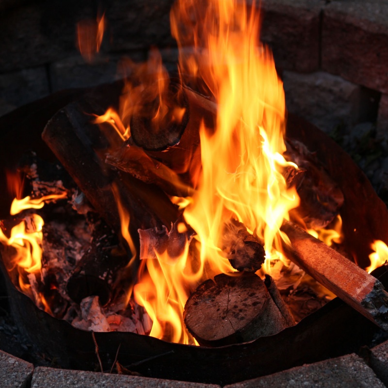 All Things Braai: South Africa's Favourite Thing | African Budget Safaris