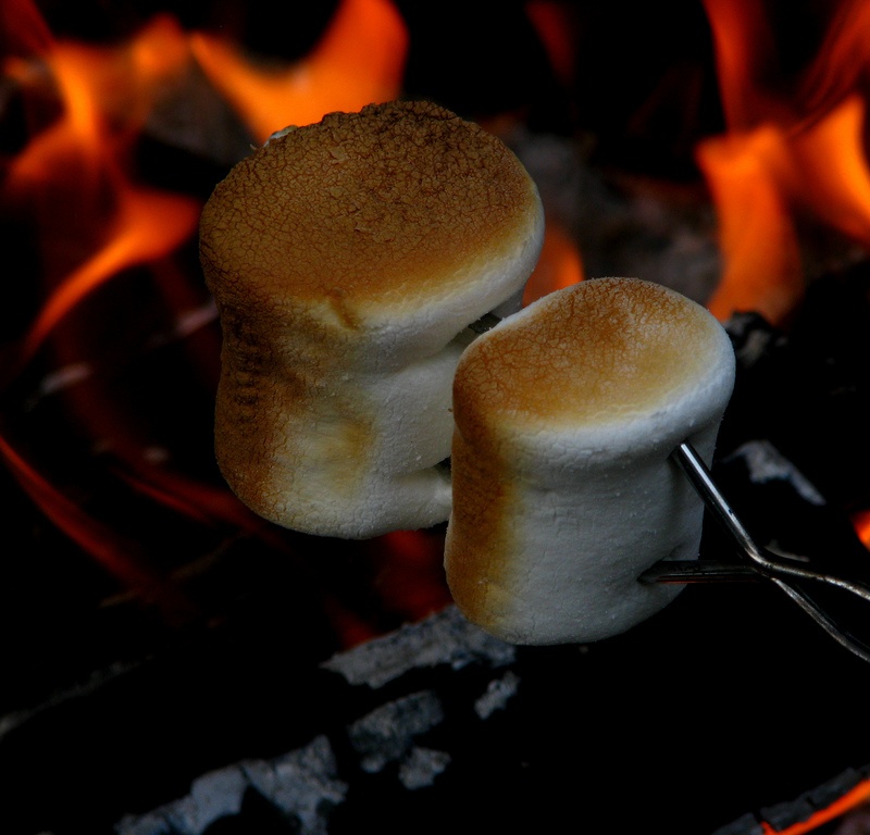 All Things Braai: South Africa's Favourite Thing | African Budget Safaris
