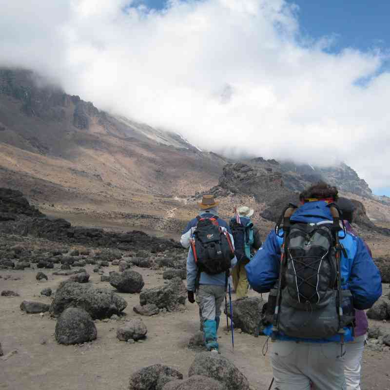 Where to go on the best Tanzania Safari Tours - African Safari