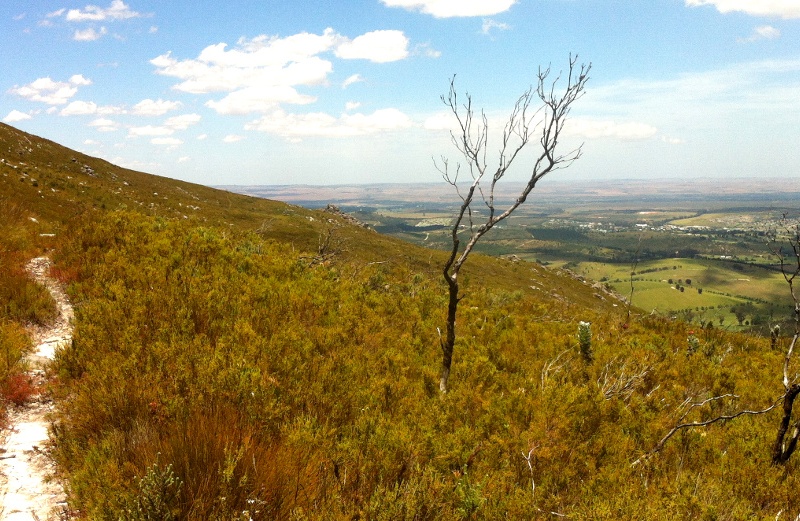 Southern African Biomes: South Africa (Part 1) | African Budget Safaris