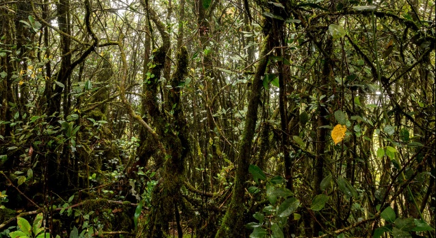 19 National Parks in South Africa: SANParks where & why visit | African ...