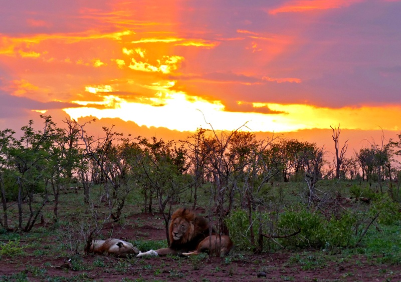 Southern African Biomes: South Africa (Part 1) | African Budget Safaris