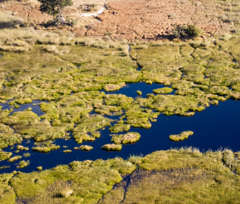 Southern African Biomes: Namibia Botswana (Part 2) | African Budget Safaris