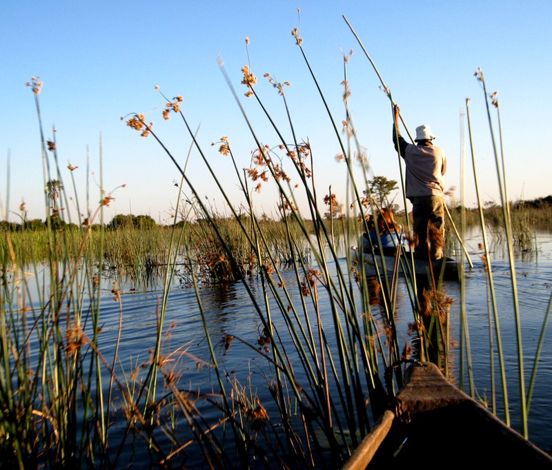 Southern African Biomes: Namibia Botswana (Part 2) | African Budget Safaris