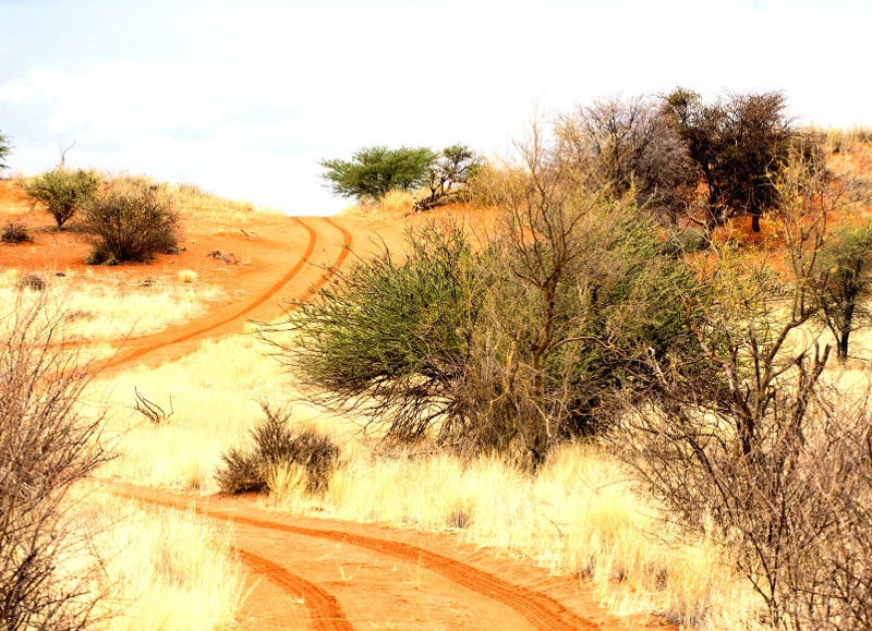 Southern African Biomes: Namibia Botswana (Part 2) | African Budget Safaris