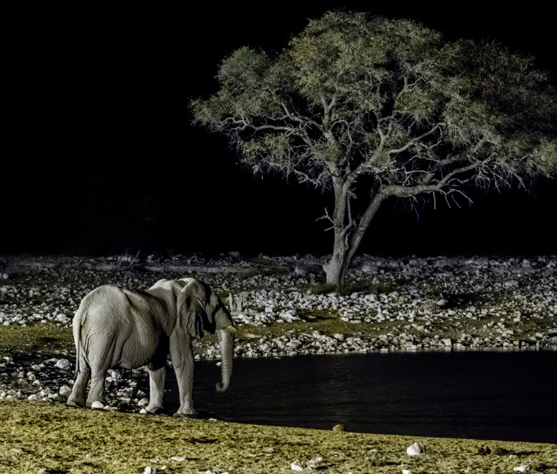 Southern African Biomes: Namibia Botswana (Part 2) | African Budget Safaris