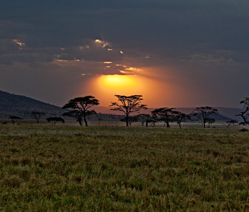 Southern African Biomes: Namibia Botswana (Part 2) | African Budget Safaris