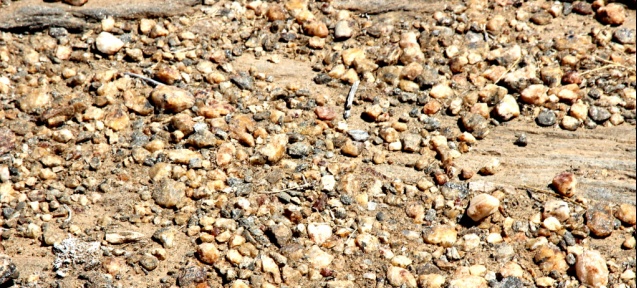 Best Namibia Camping Safari - African Budget Adventures