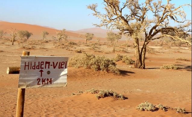 Best Namibia Camping Safari - African Budget Adventures