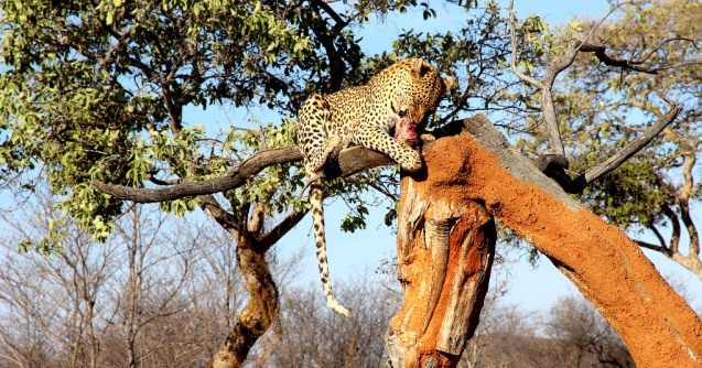 Best Namibia Camping Safari - African Budget Adventures