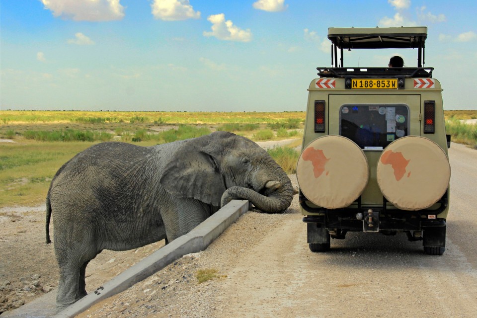 Safari Safety Guide: Safe Safari - Are African Safaris Safe?