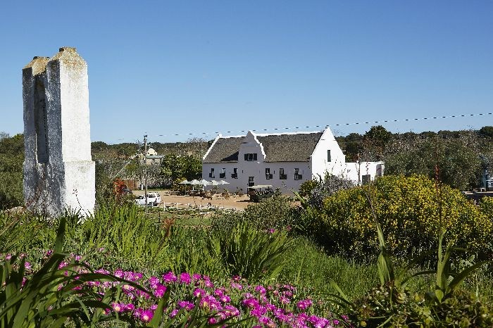 Best Wine Farms in the Cape Winelands | Cape Wine Routes