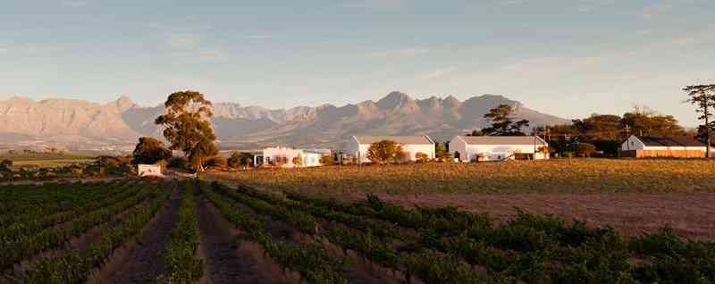 Best Wine Farms in the Cape Winelands | Cape Wine Routes