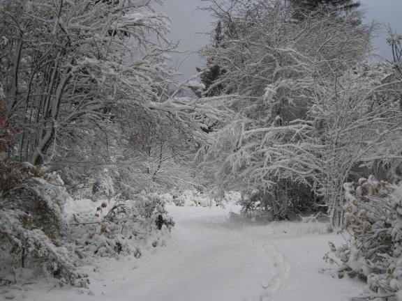 Hogsback - Tolkien’s Middle Earth in the Amathole Mountains?