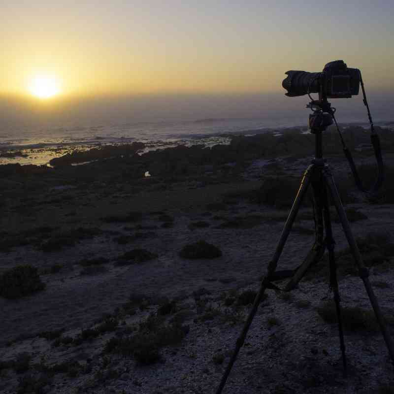 Our Top Ten List of Movies Shot in Africa | African Budget Safaris