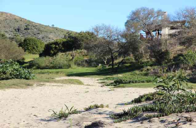 Bontebok National Park South Africa - Bontebok Park Swellendam
