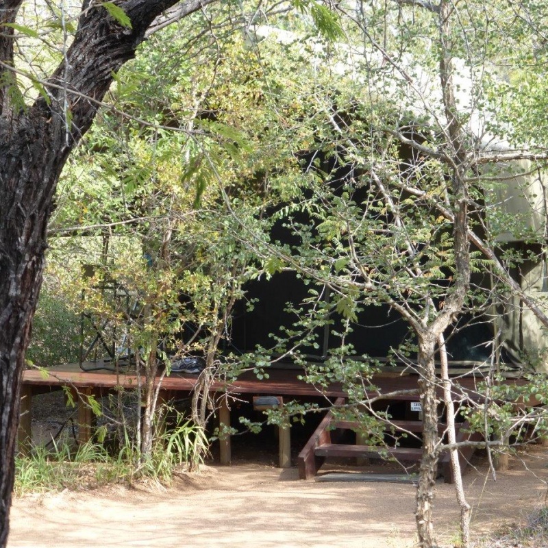 Sabi Sands Safaris | Affordable Kruger Big 5 Game Reserves | Africa