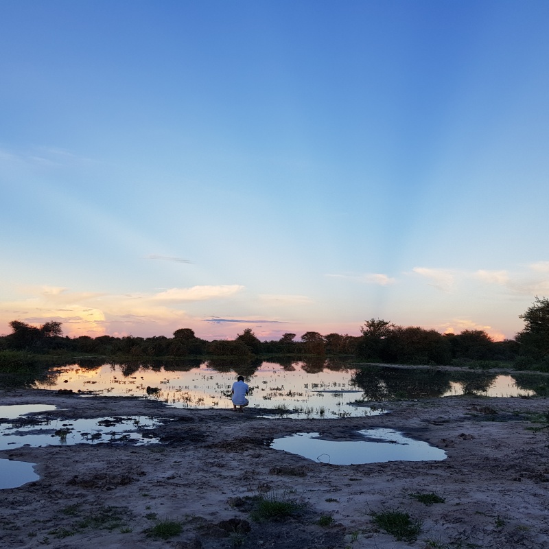 Botswana, a must on your safari bucket list! | African Budget Safaris