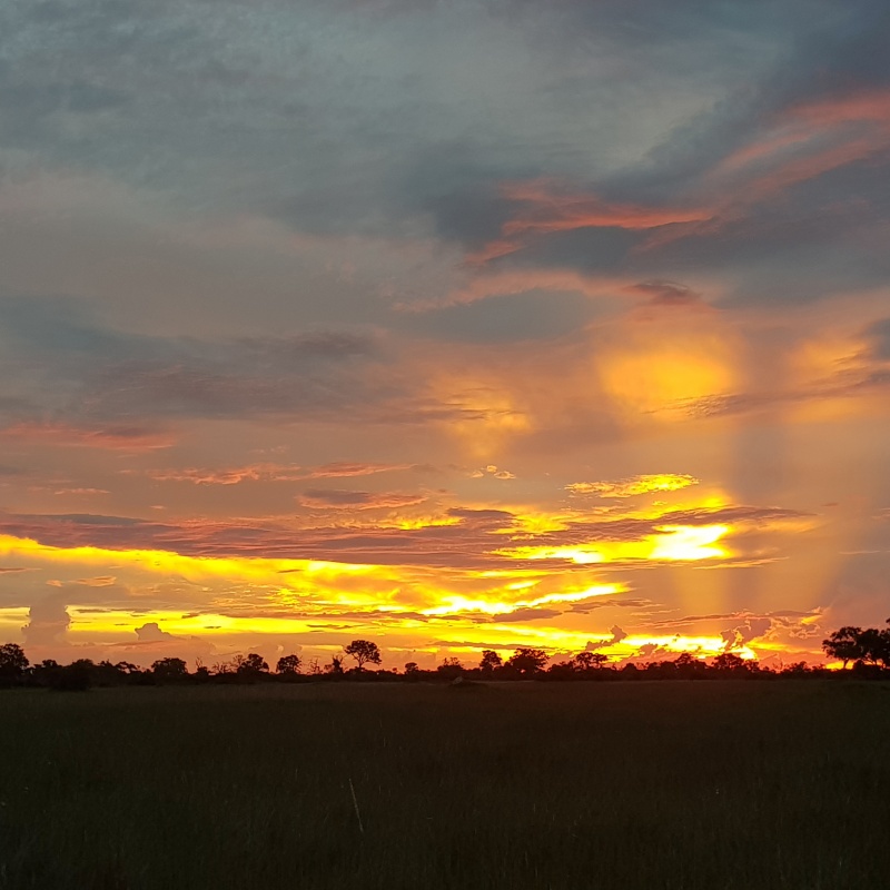 Botswana, a must on your safari bucket list! | African Budget Safaris