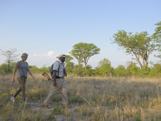 Eco-Travel in Africa - Green Travel Tips for African Budget Safaris