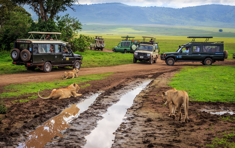 African Safaris for Families | Family Safari Destinations | African ...