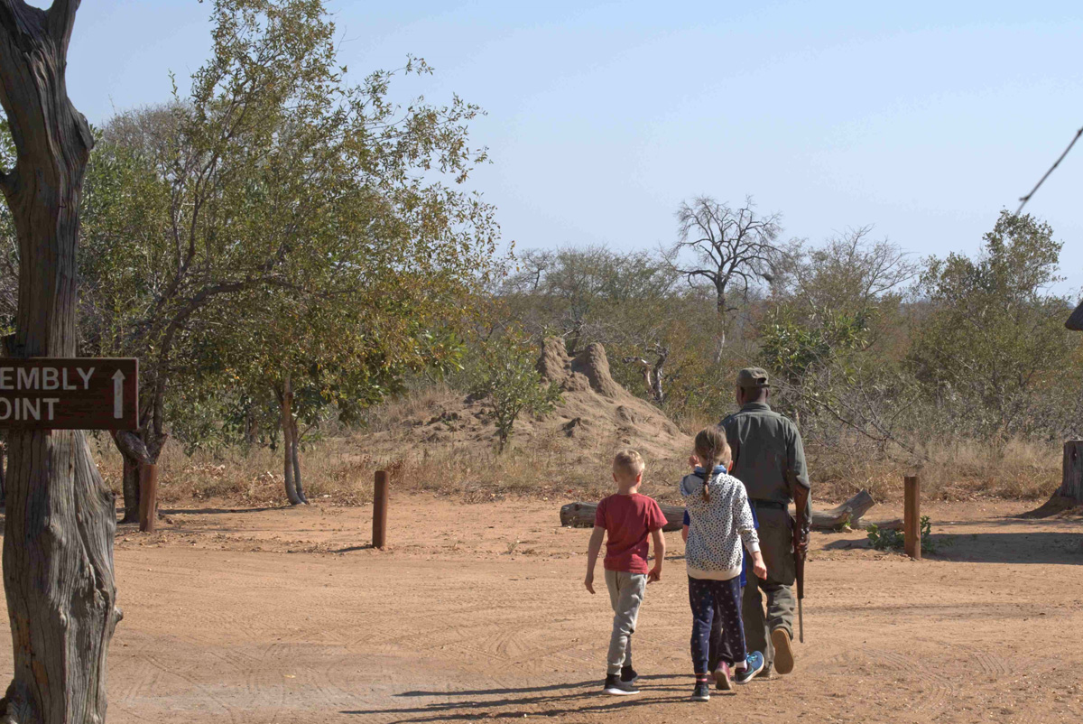 Family African Safaris with kids - budget Kruger family trips - African ...