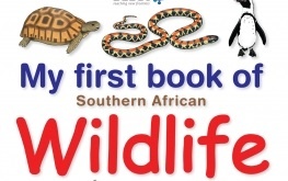 30 of the Best African Books | African Budget Safaris