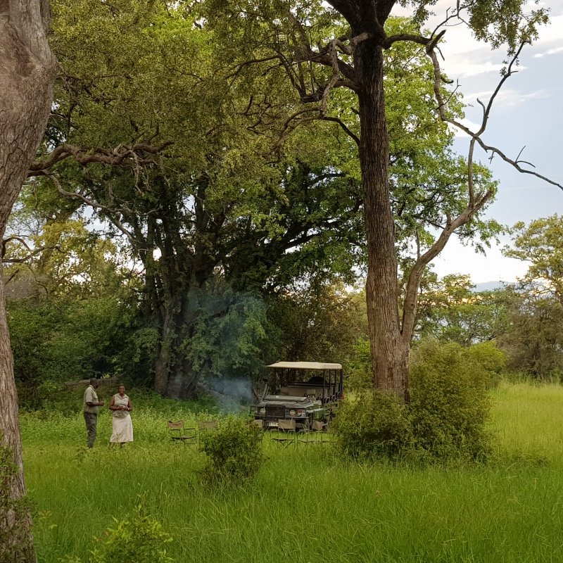 What does it cost to visit the Okavango Delta? | African Budget Safaris