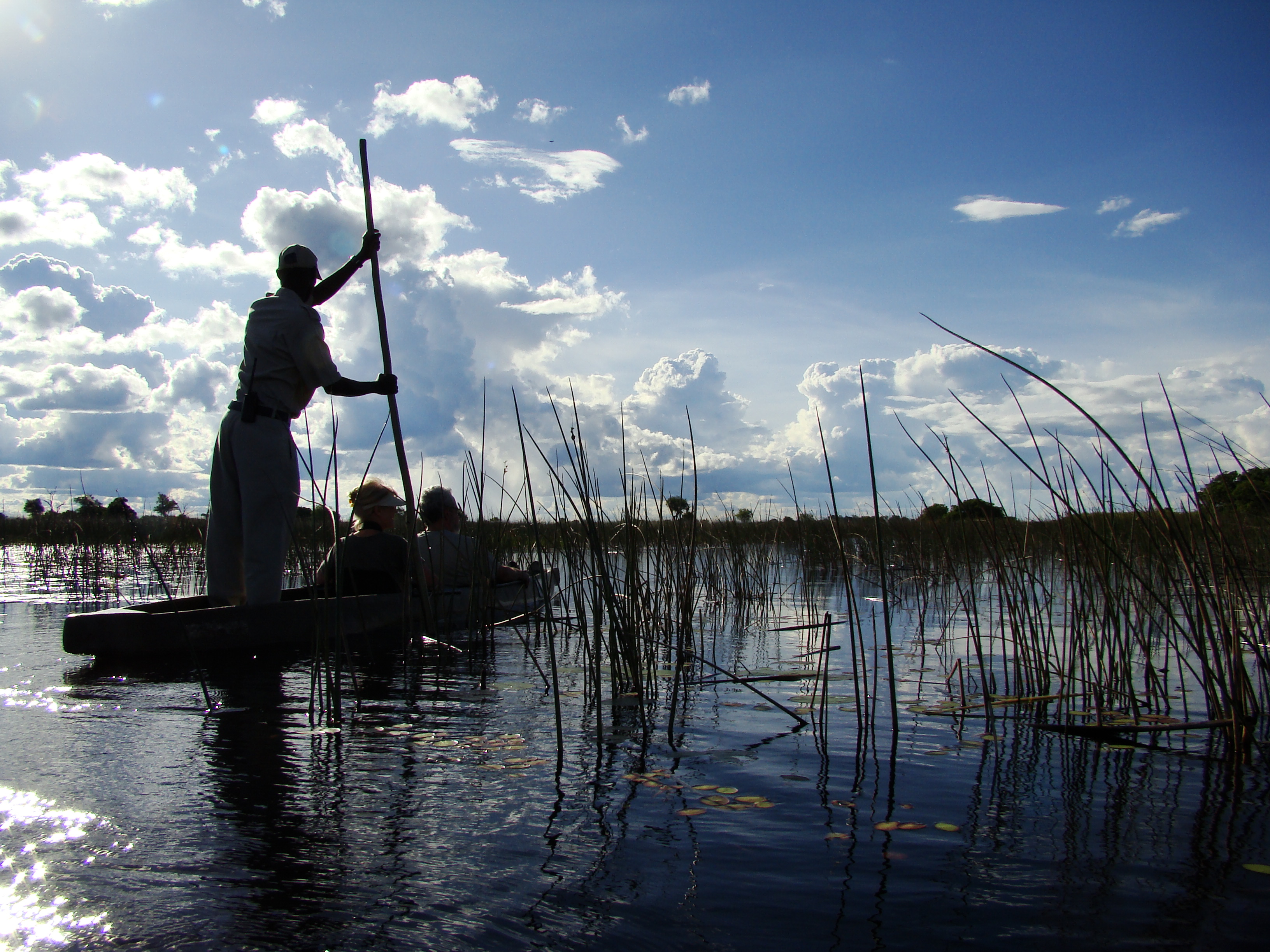 What does it cost to visit the Okavango Delta? | African Budget Safaris