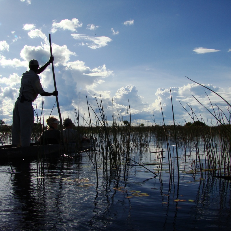 What does it cost to visit the Okavango Delta? | African Budget Safaris
