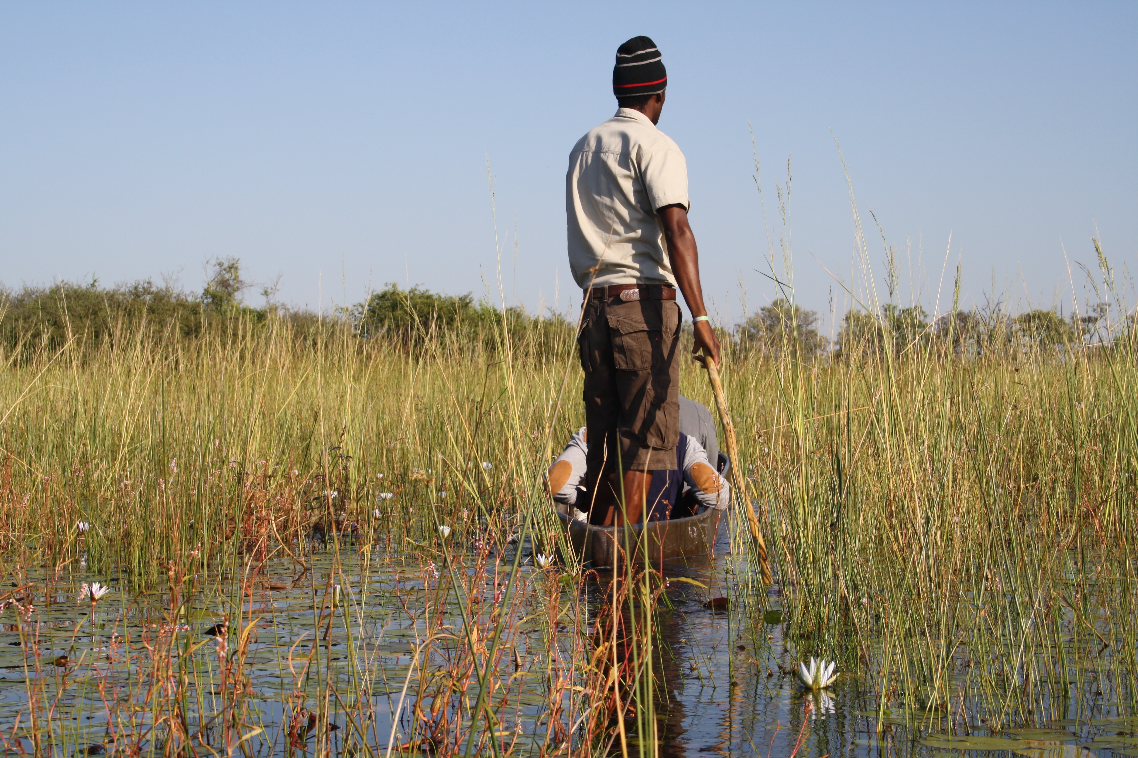 What does it cost to visit the Okavango Delta? | African Budget Safaris