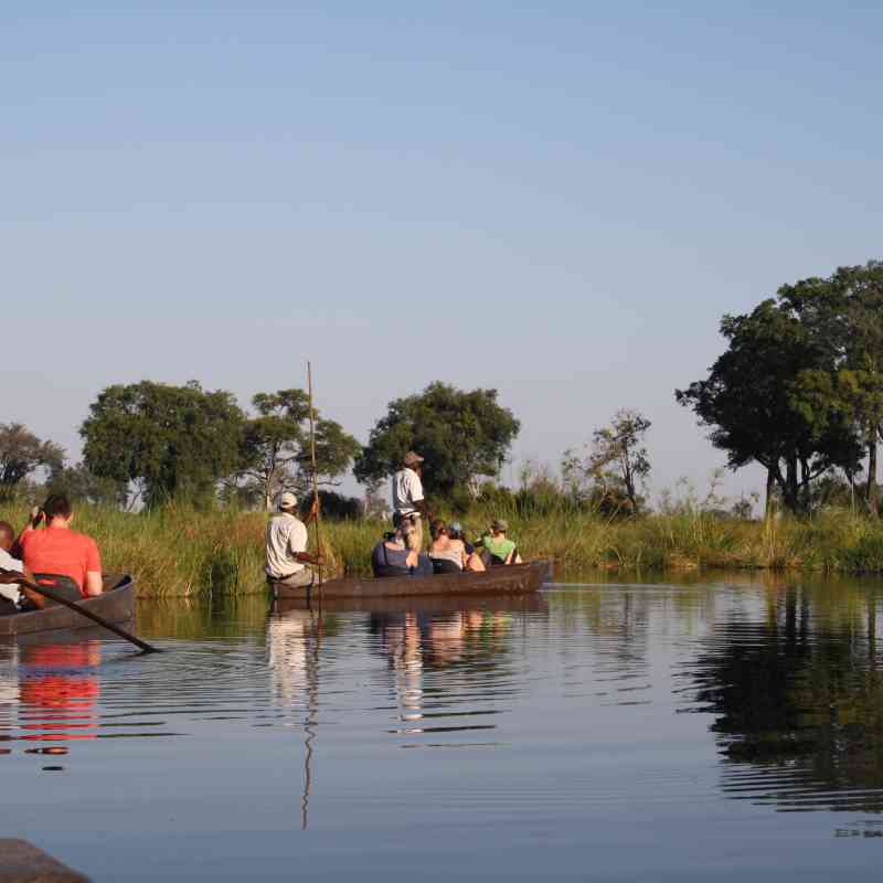 What does it cost to visit the Okavango Delta? | African Budget Safaris