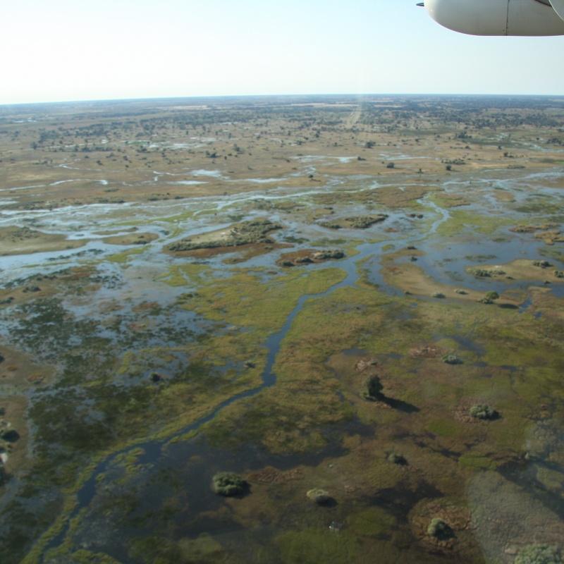 What does it cost to visit the Okavango Delta? | African Budget Safaris