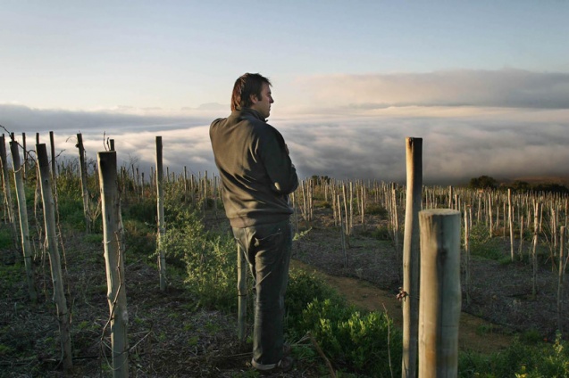 South Africa Wine Guide 2019 - Cape Winelands One Page Guide
