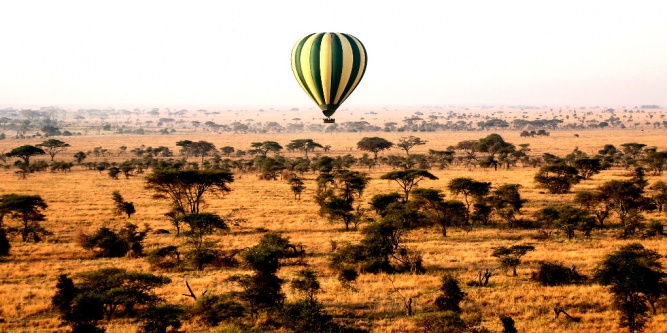 Best African country for safaris - Kenya vs Tanzania Safaris