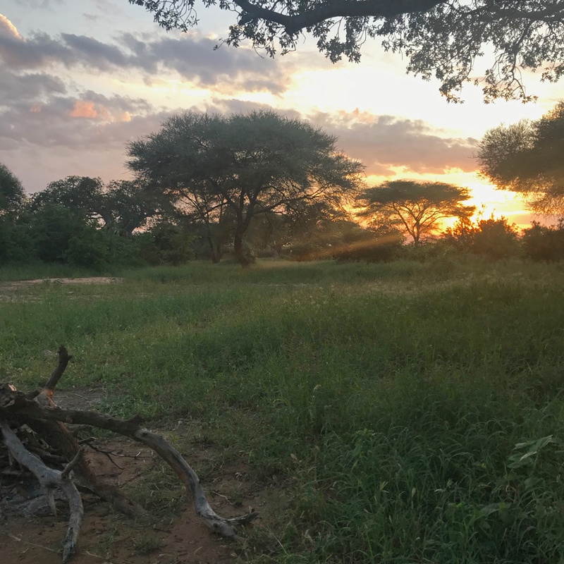 Tanzania Safari | Great Migration East Africa | Serengeti Safaris