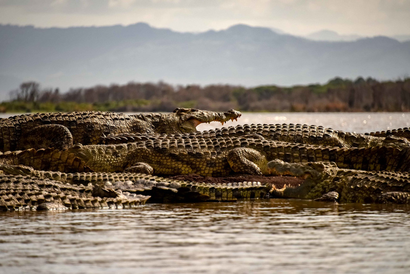 African Tribes | Ethiopia Travel & Culture | Omo Valley Tribes of Ethiopia