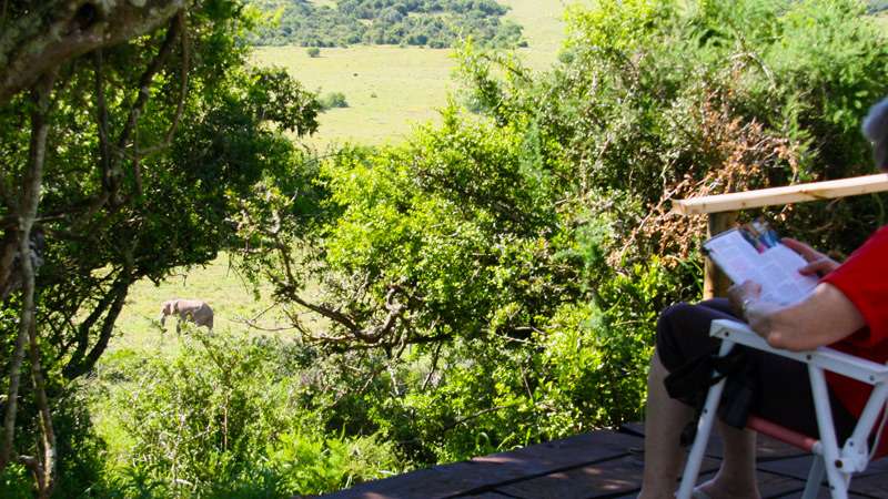 Eastern Cape Safaris: Addo, Kariega and Amakhala Tours | African Budget ...