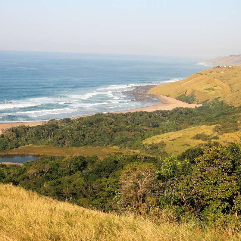 Eastern Cape Safaris: Addo, Kariega and Amakhala Tours | African Budget ...