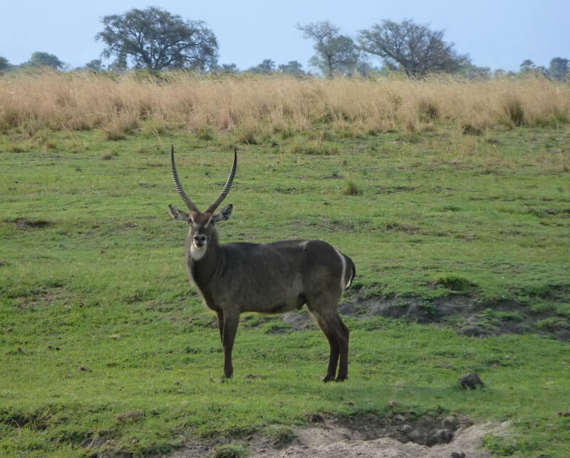 Budget Botswana Safari: Camping Safari in Botswana